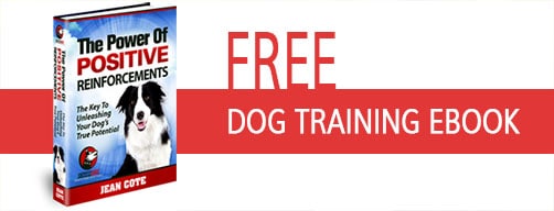 free-dog-training-ebook - Success Dogs