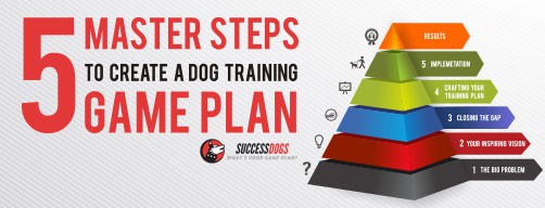 success_dogs_5-master-steps_thumbnail - Success Dogs